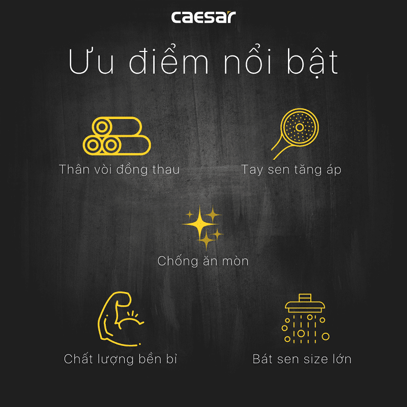 Vòi Sen Đứng Âm Tường - BS641