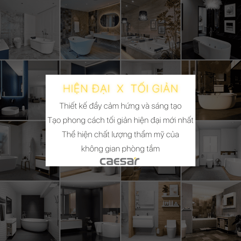 Lavabo kết hợp tủ treo L5222 - EH48002ADV